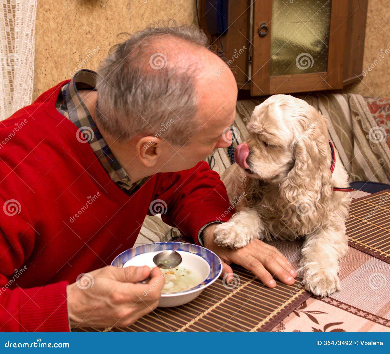 Man and his dog stock photo. Image of cocker, spaniel - 36473492