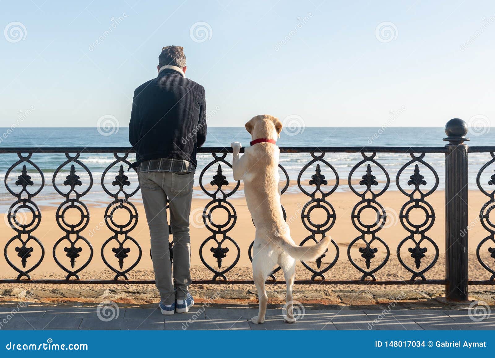 Man Leaning Railing Outside Looking Sea Stock Photos - Free & Royalty ...