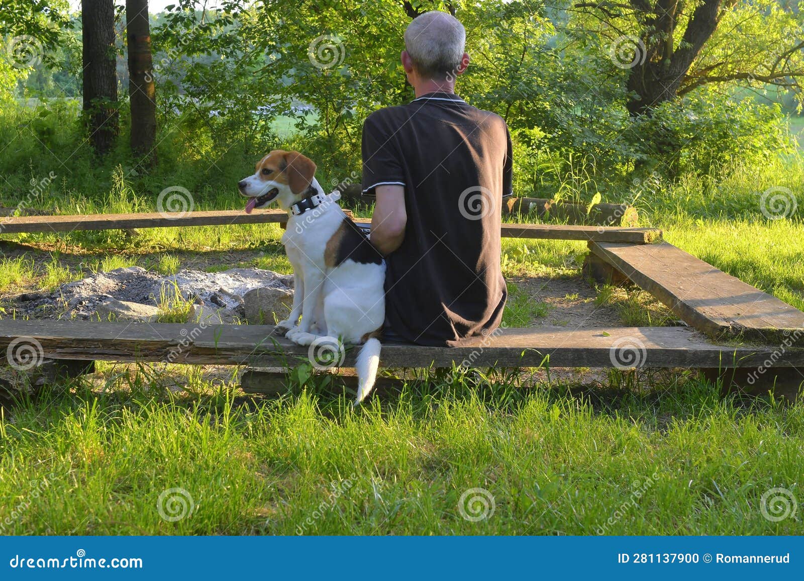 A Man and His Dog Sitting on a Bench in Nature. Concept of Dog Devotion ...