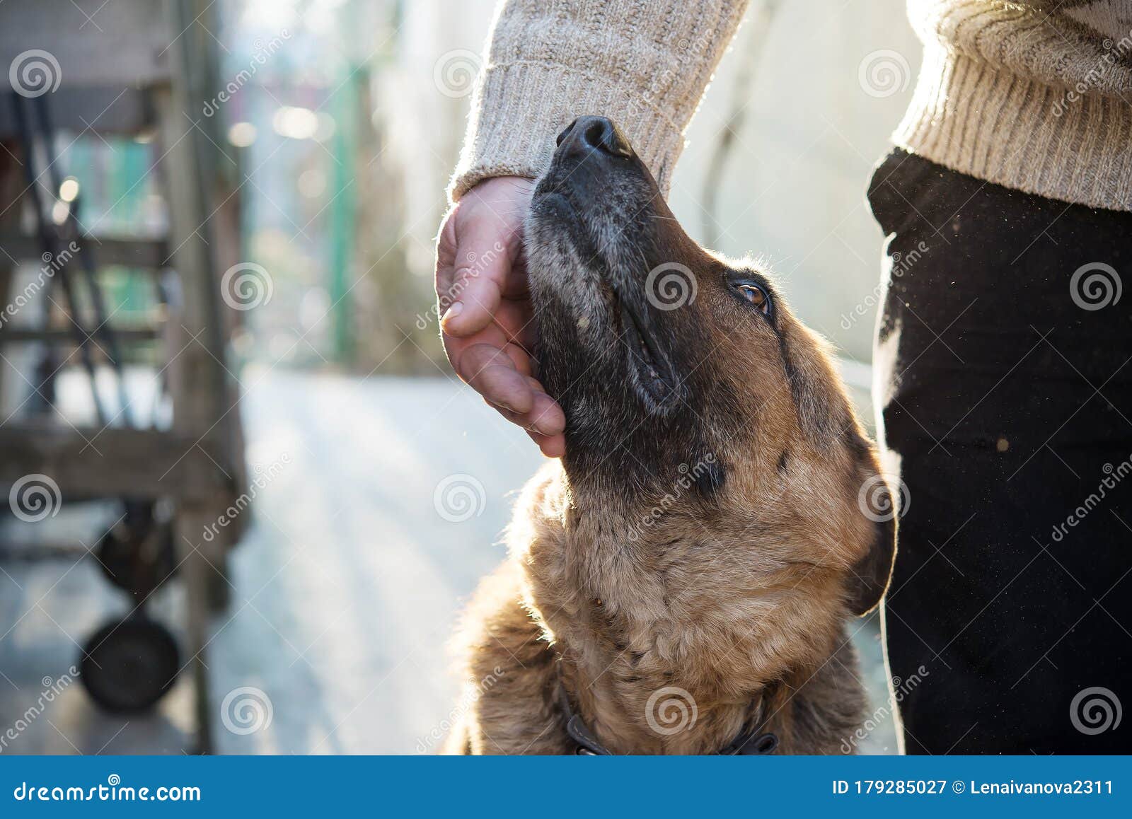 Man and His German Shepherd Dog Stock Image - Image of hunter, cuddle ...