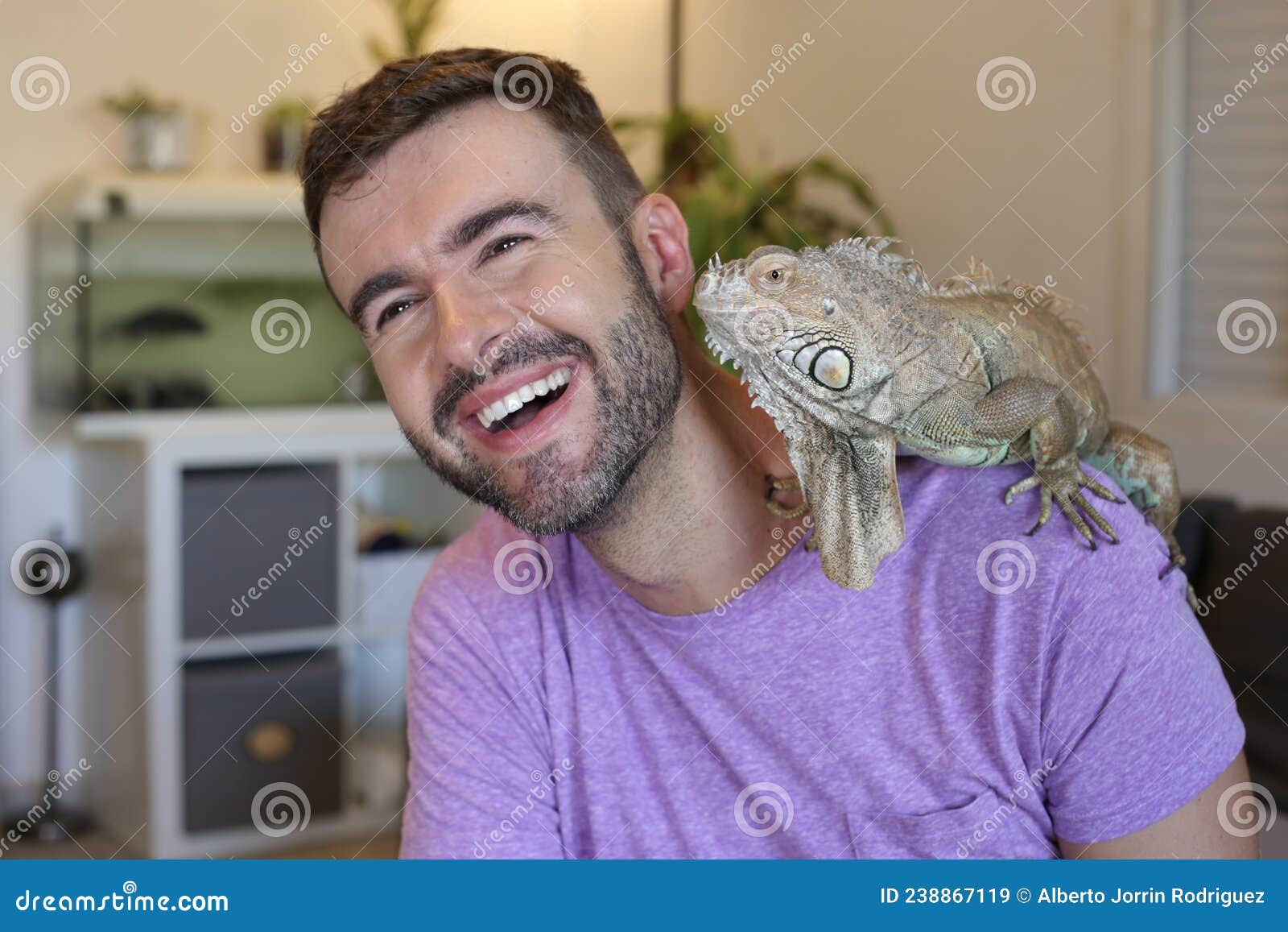Man and His Spectacular Iguana Stock Image - Image of exotic, happy ...