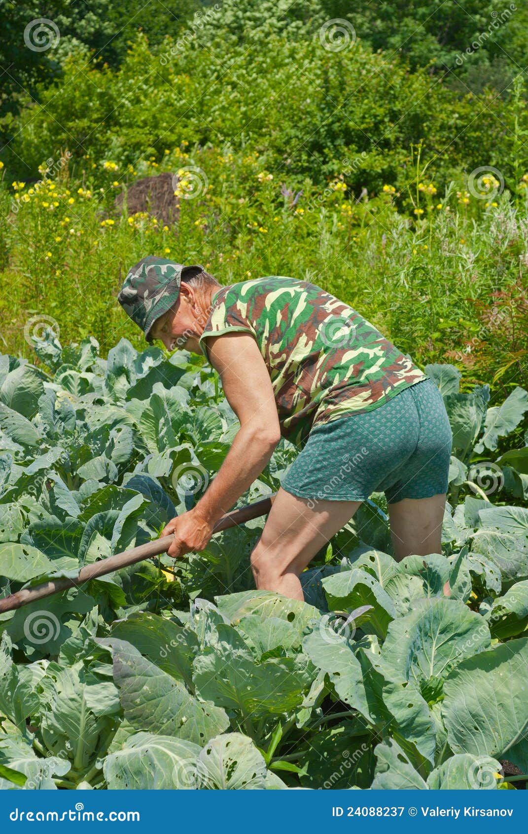 Man with Hoe 16 stock image. Image of farmer, outdoor - 24088237