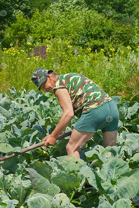 Man with Hoe 16 stock image. Image of farmer, outdoor - 24088237