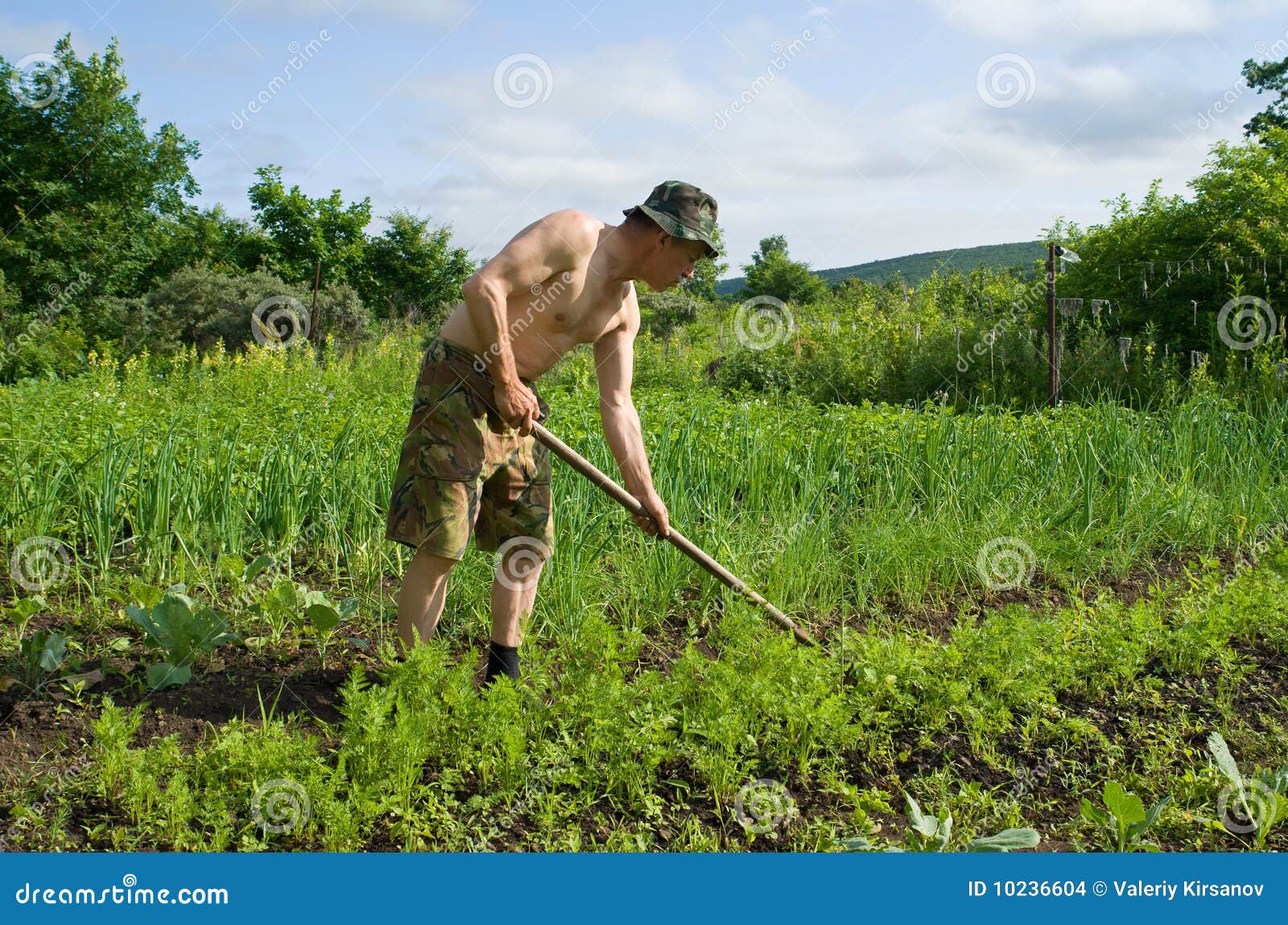 Man with Hoe 3 stock photo. Image of person, urban, pulling - 10236604