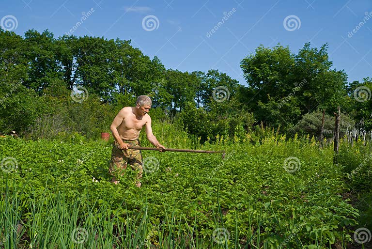 Man with Hoe 7 stock photo. Image of hillbilly, summer - 14500542