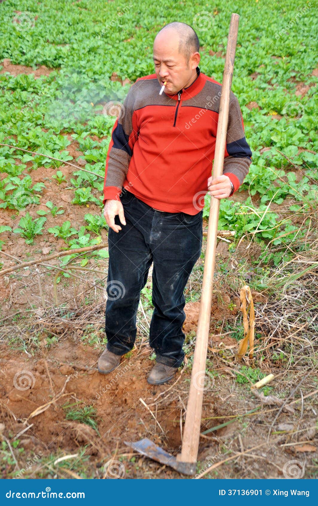 Man with Hoe editorial photo. Image of digger, industry - 37136901