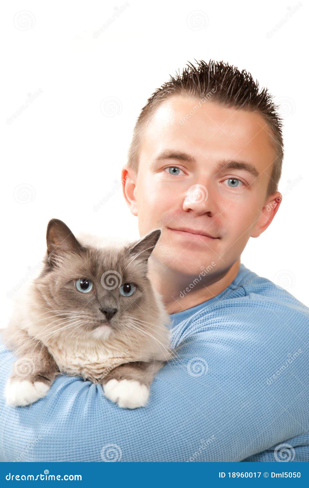 Handsome Ragdoll Stock Photos - Free & Royalty-Free Stock Photos from ...