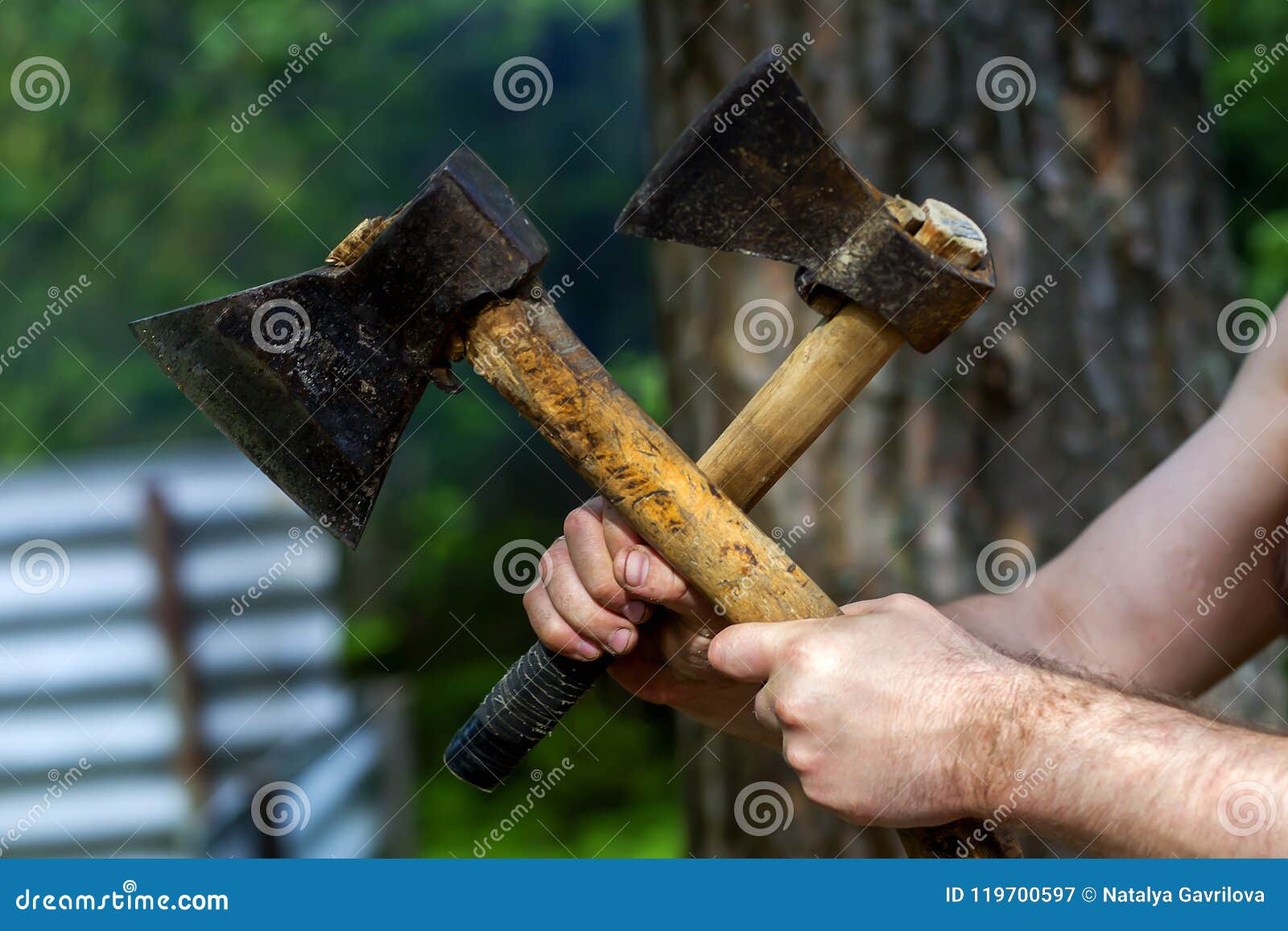 Man holding axes in nature stock image. Image of outdoors - 119700597