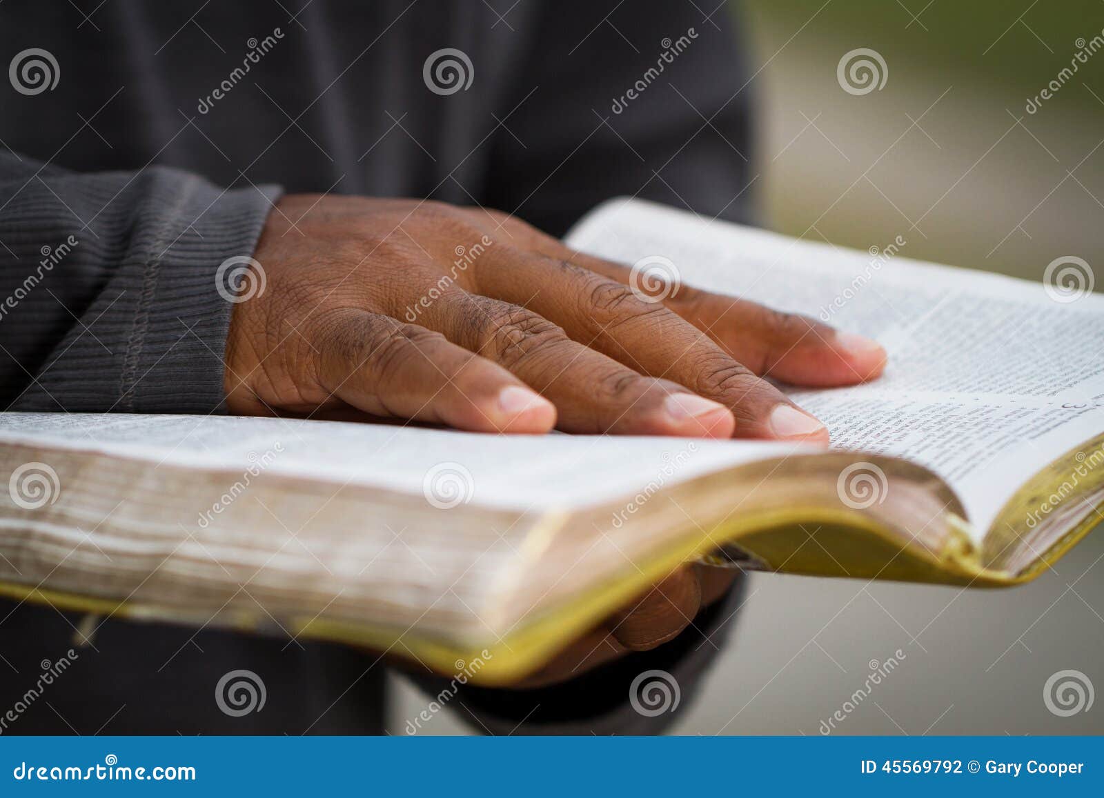 Man holding a Bible stock photo. Image of gospel, american - 45569792