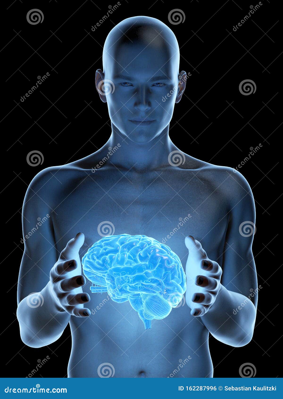 A man holding a brain stock illustration. Illustration of anatomical ...