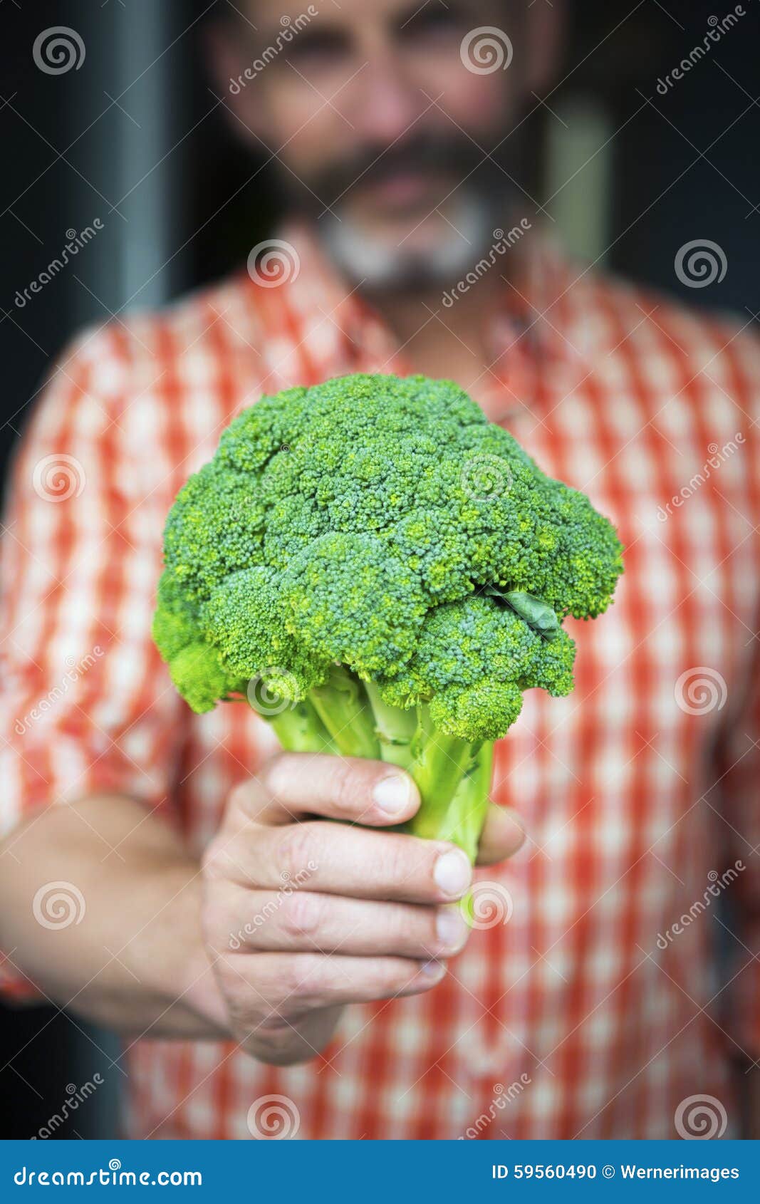 Man Holding Broccoli in His Hand Stock Photo - Image of hand, veggie ...