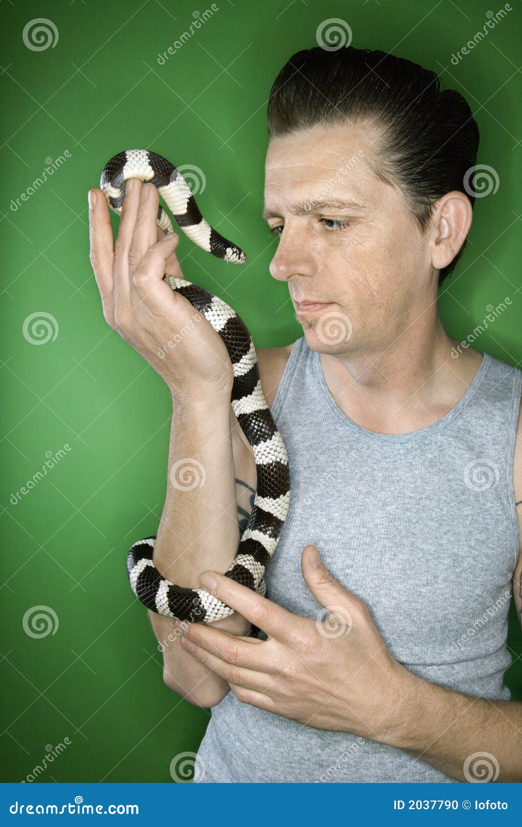 Man Holding California Kingsnake. Stock Photo - Image of caucasian ...