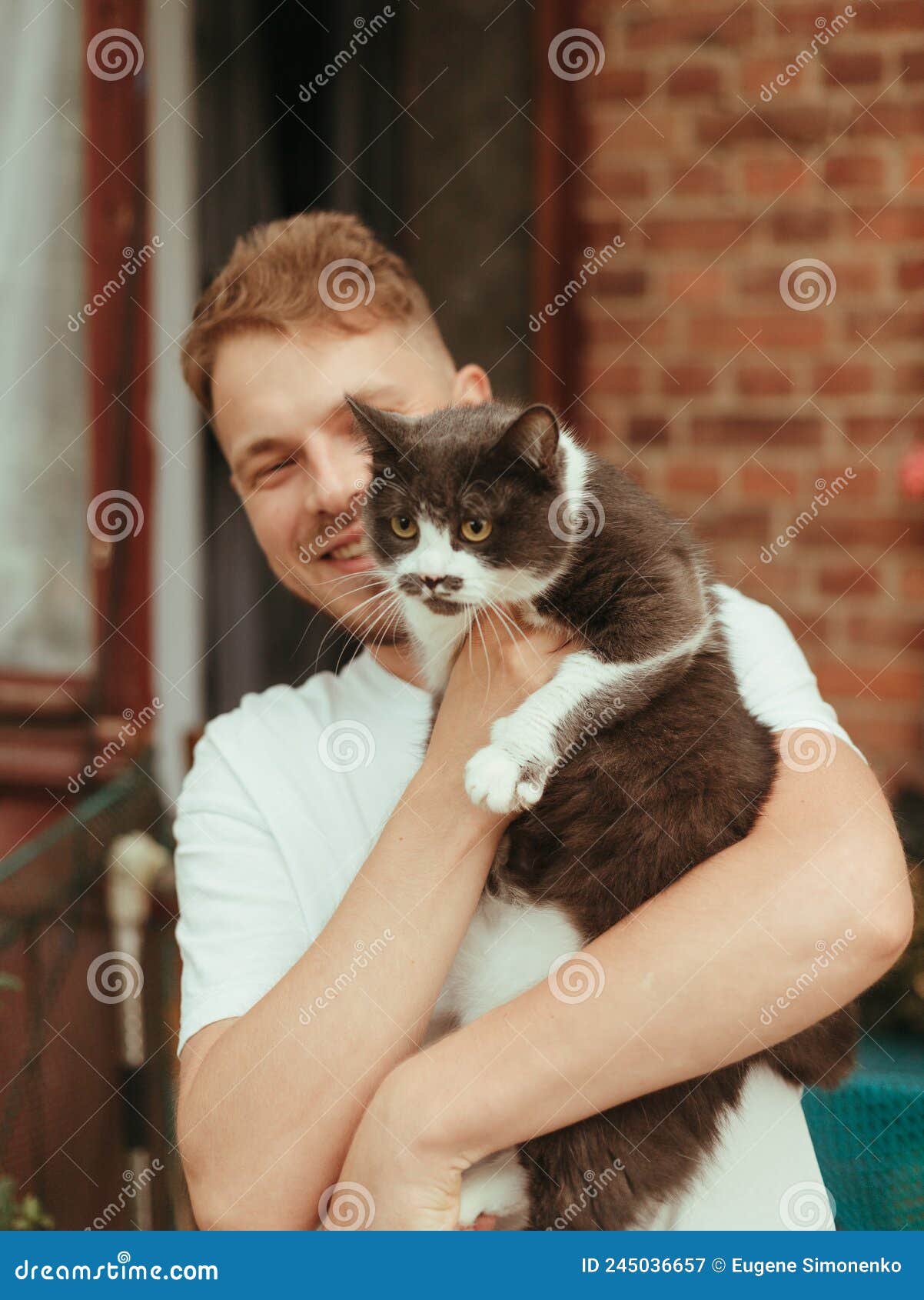 Man Holding Cat in Hands. British Gray Cat. Man with Cat Smiling. Rain ...