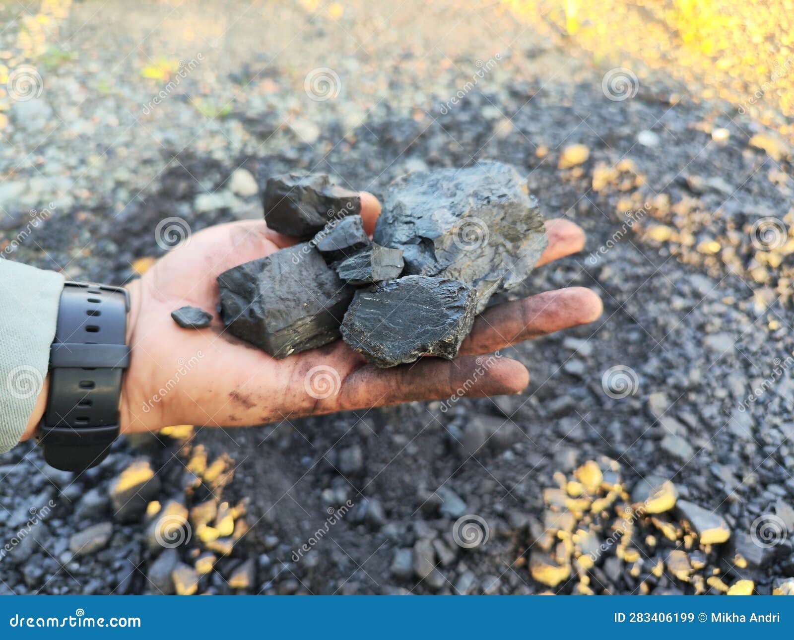 Man Holding Coal in Hands Over Pile, Top View. Stock Image - Image of ...