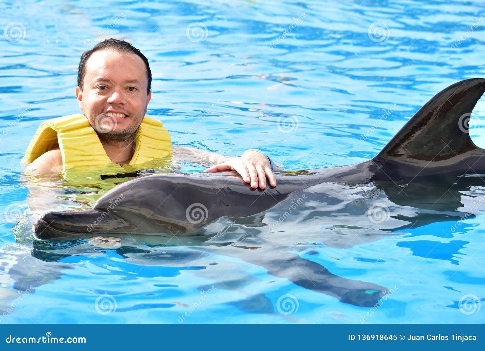 Man Holding Dolphin in Pool Stock Image - Image of closeup, cheerful ...
