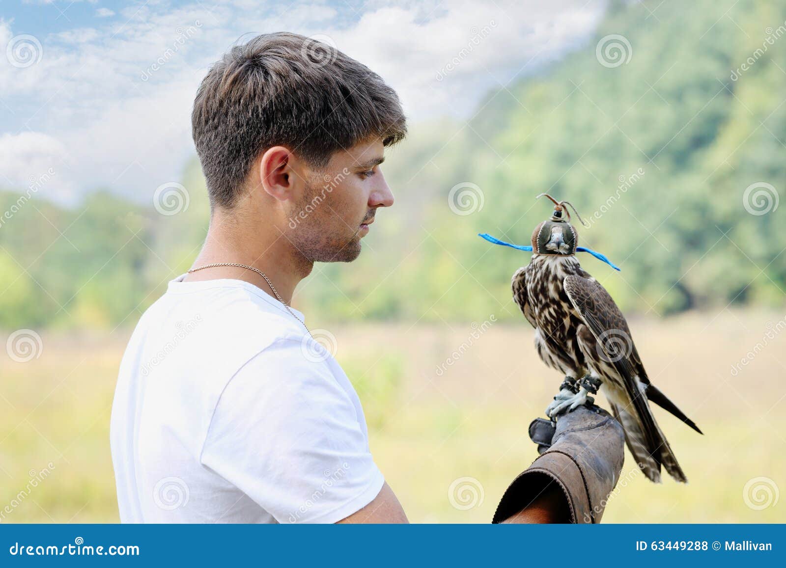 Man holding a falcon stock photo. Image of animal, falconer - 63449288