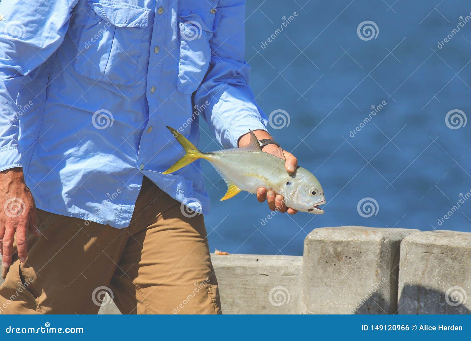Man holding a fish. stock photo. Image of holding, water - 149120966