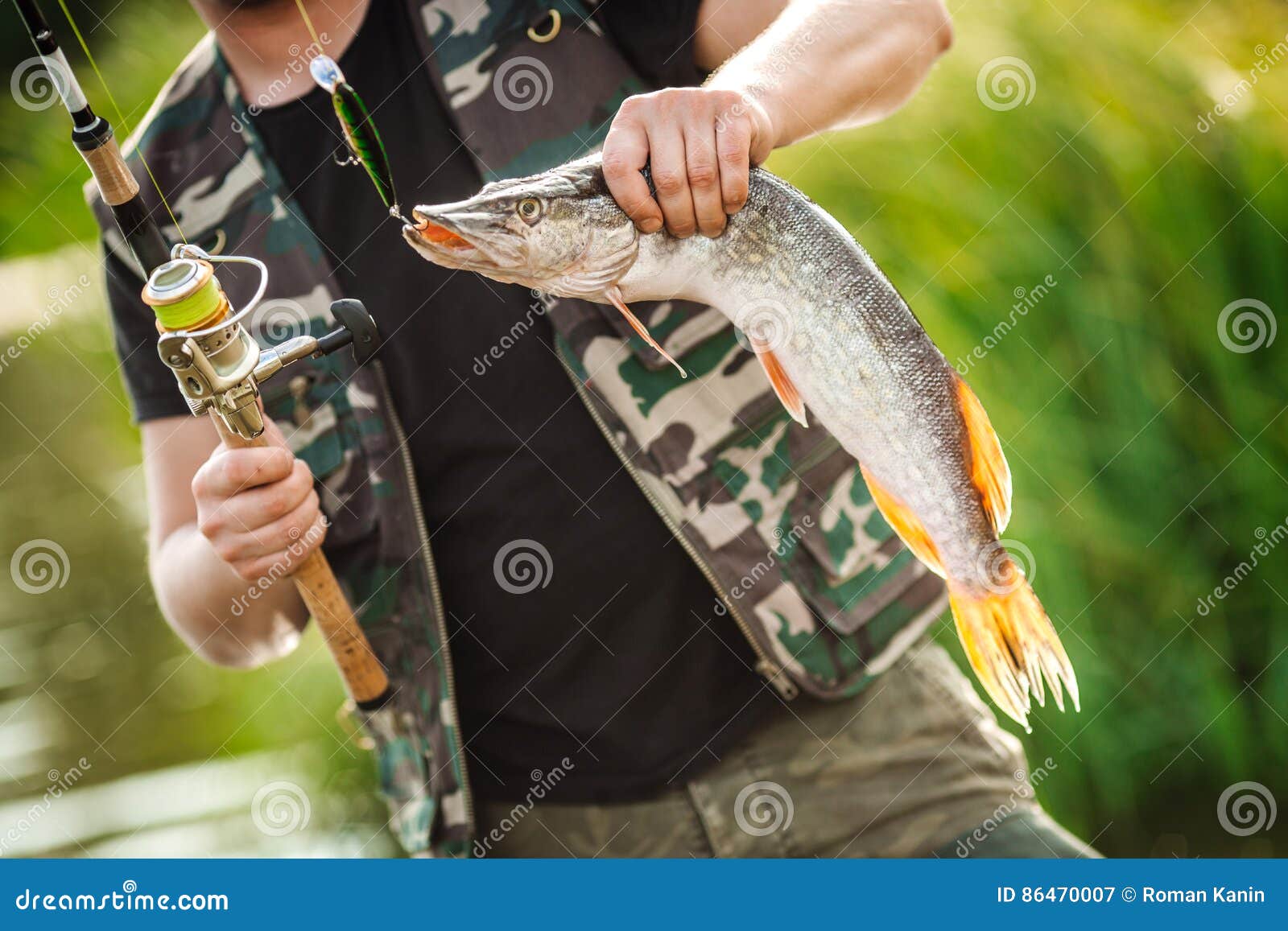 Man Holding a Fish on the River Stock Image - Image of adult, male ...