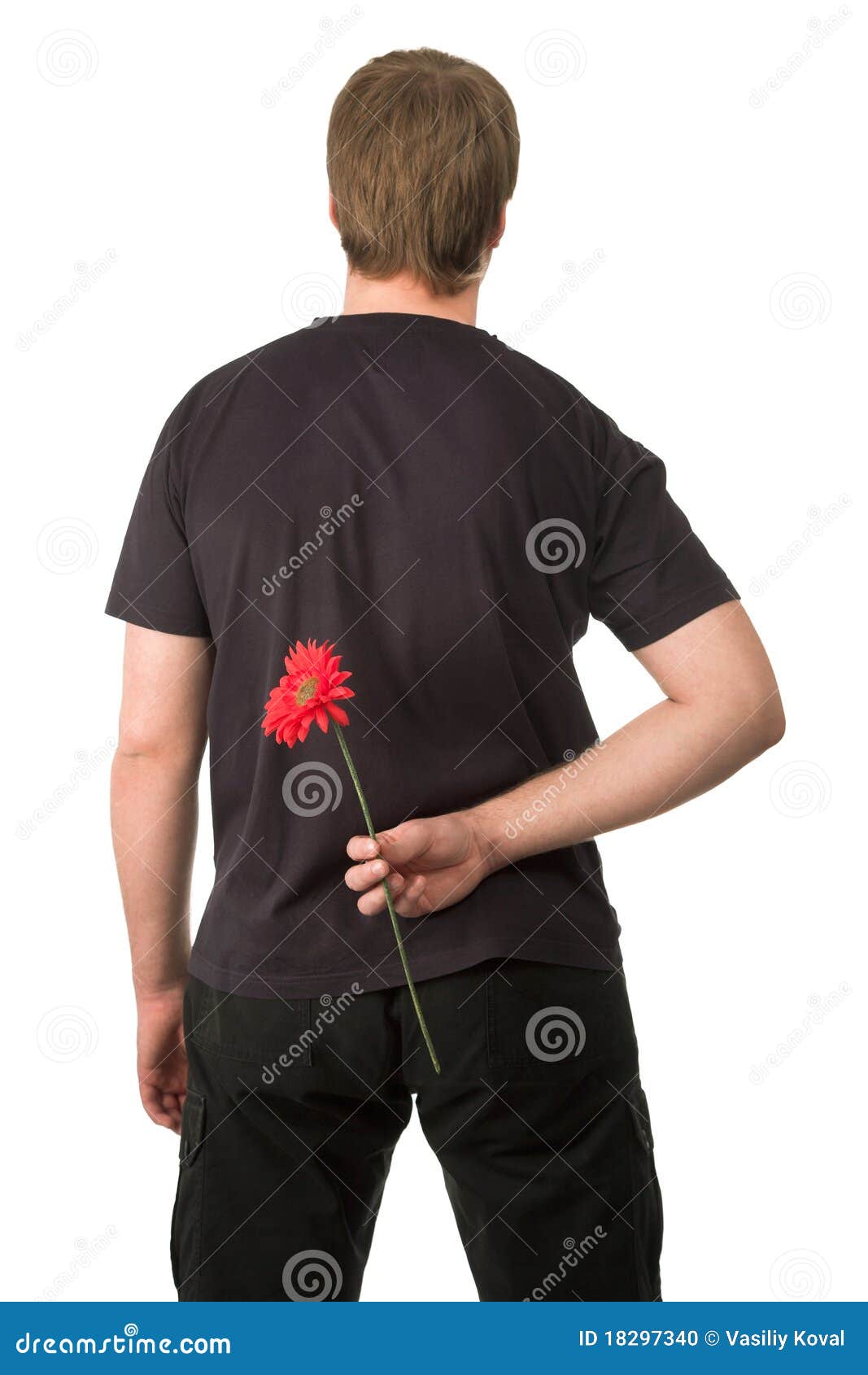 Man Holding Flower stock photo. Image of back, hiding - 18297340