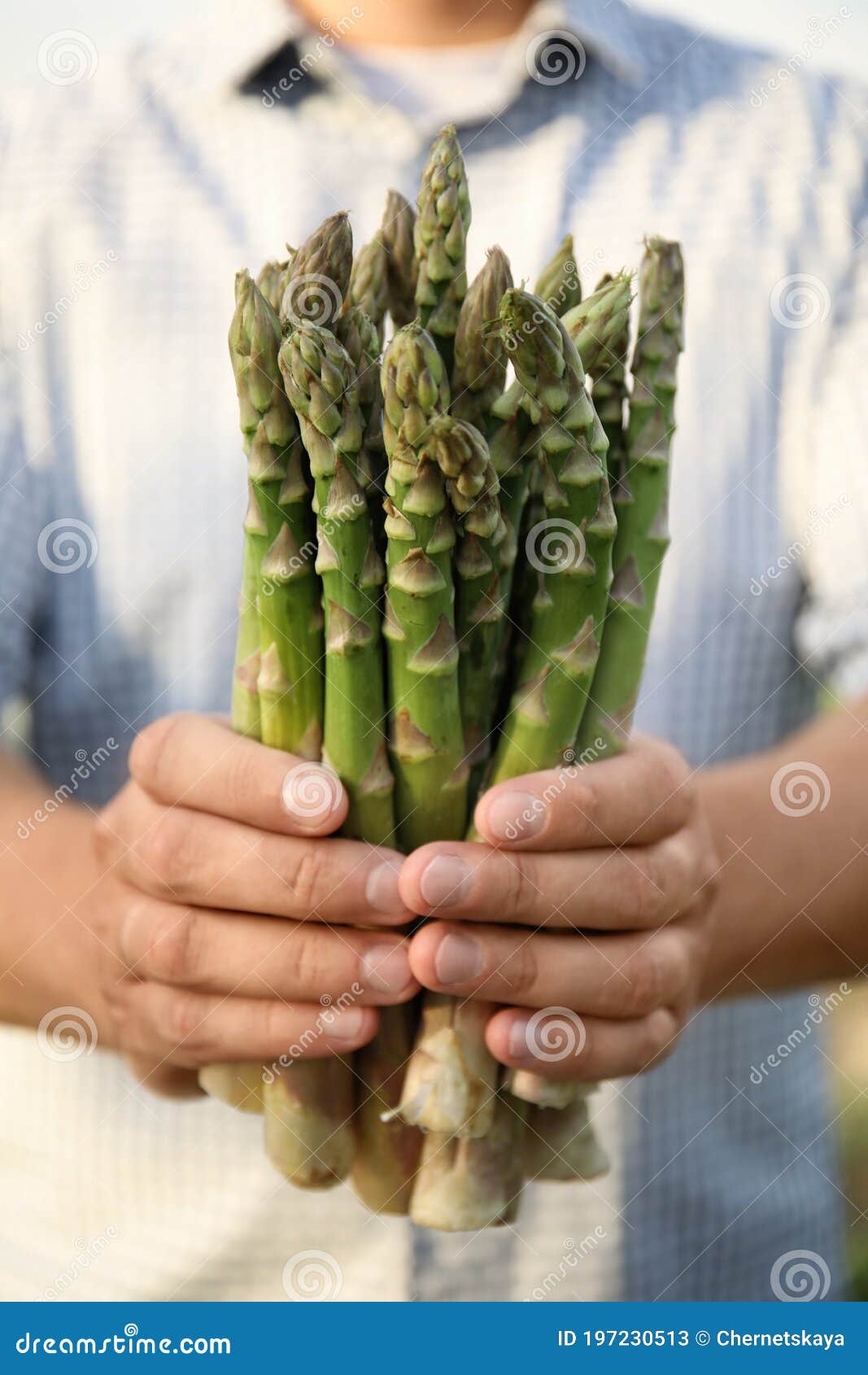 Man Holding Fresh Raw Asparagus Outdoors, Closeup Stock Image - Image ...