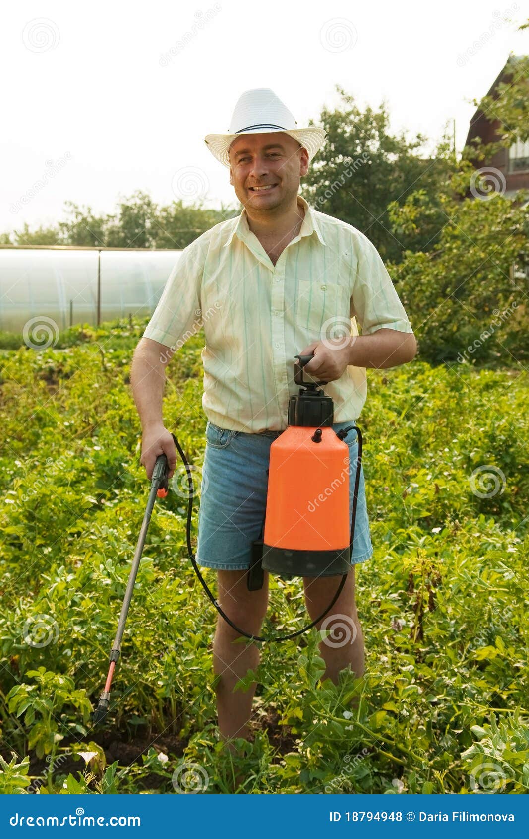 Man Holding Garden Spray and Working Stock Photo - Image of pest ...