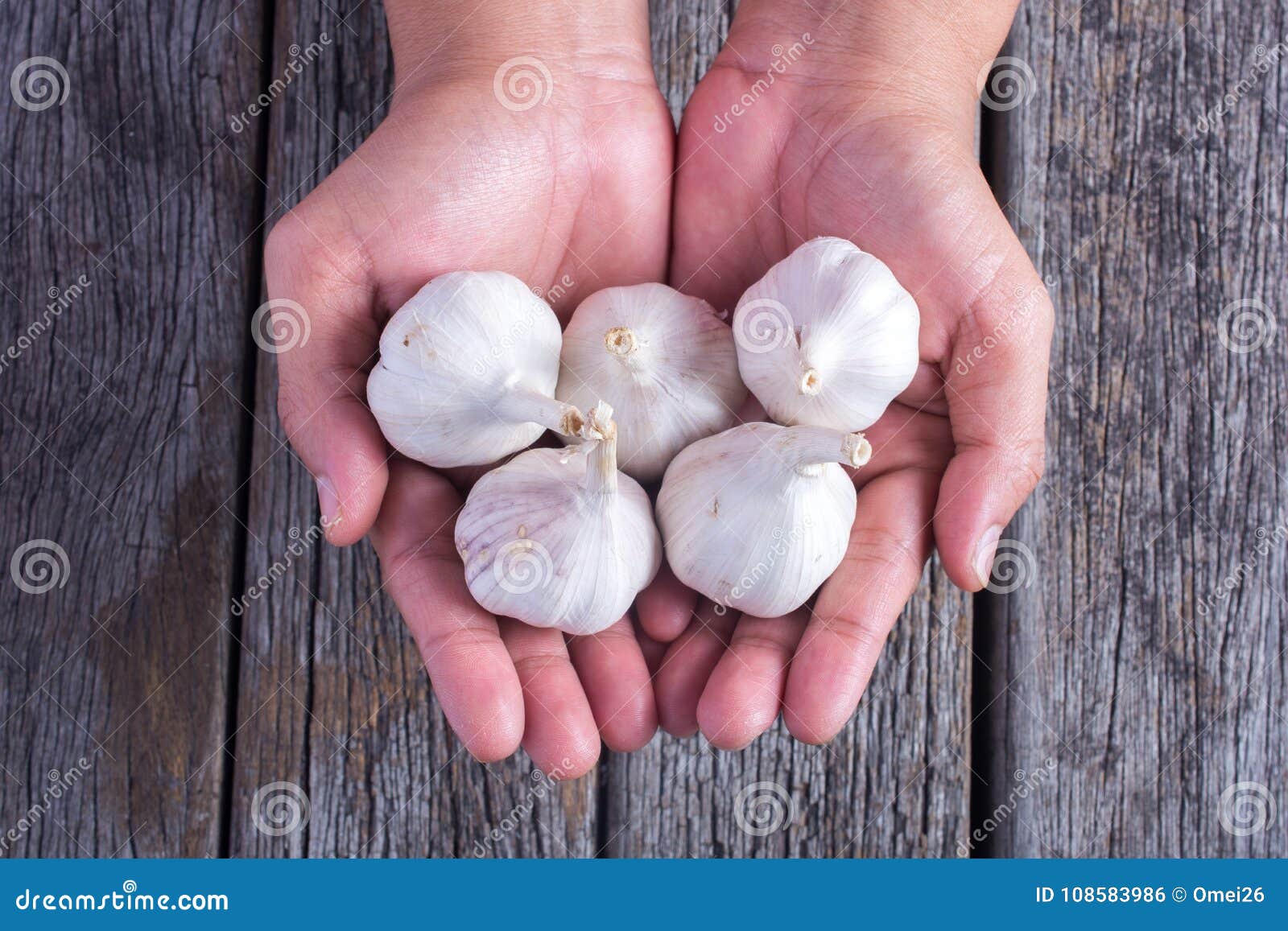 Man Holding Garlic Cloves in His Hands. Stock Photo - Image of home ...