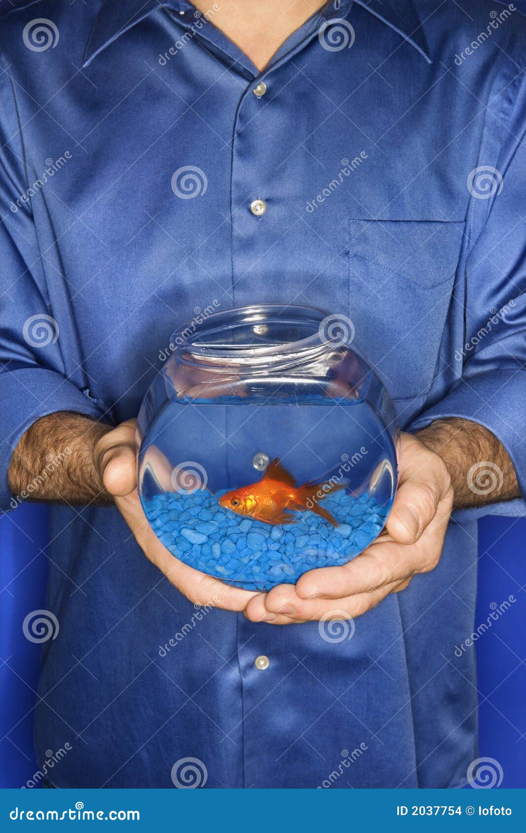 Man Holding Goldfish in Bowl. Stock Photo - Image of holding, hand: 2037754