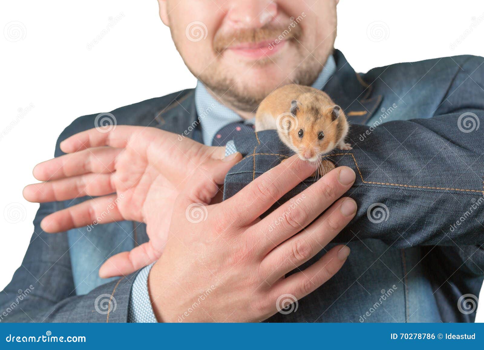 Man Holding Hamster On Arm Royalty-Free Stock Photo | CartoonDealer.com ...