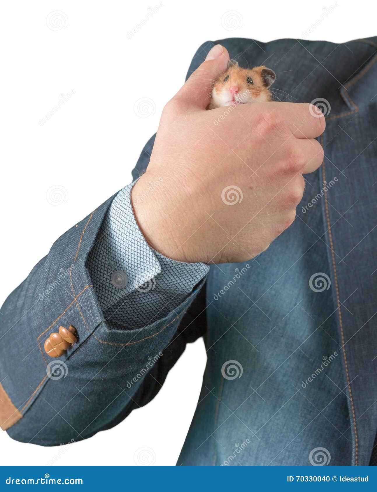 Man Holding Hamster On Arm Royalty-Free Stock Photo | CartoonDealer.com ...