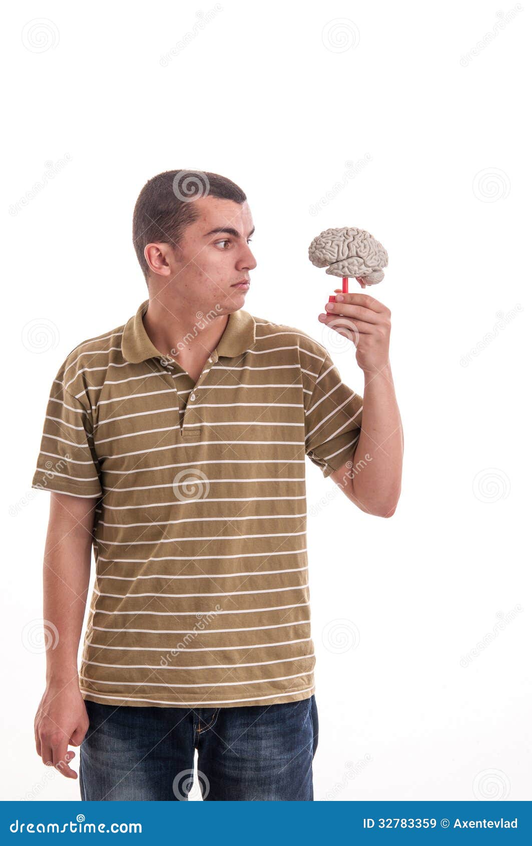 Man Holding a Human Brain Model and Looked at Him Stock Image - Image ...