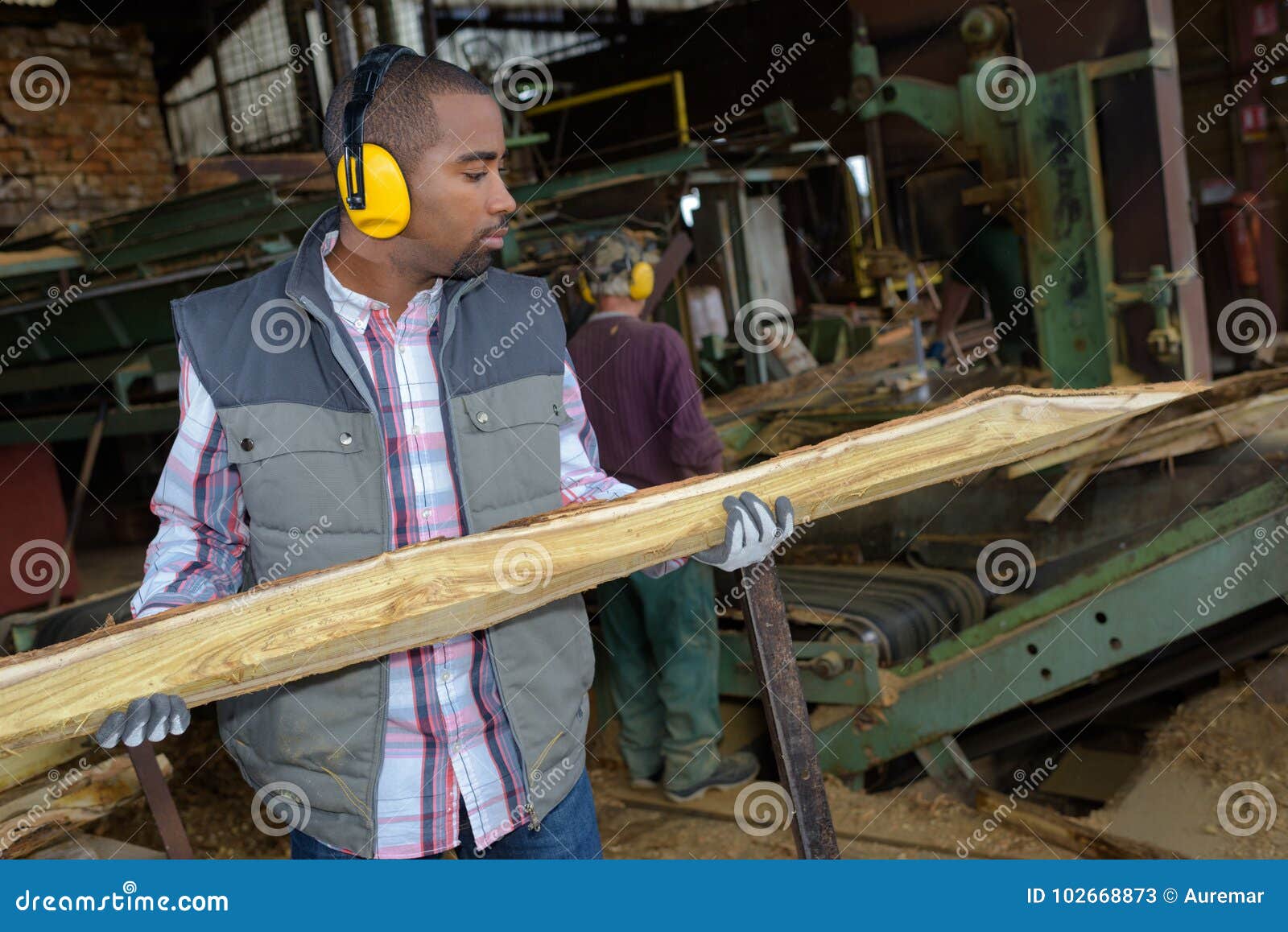 Man Holding Length Wood in Saw Mill Stock Image - Image of manual ...