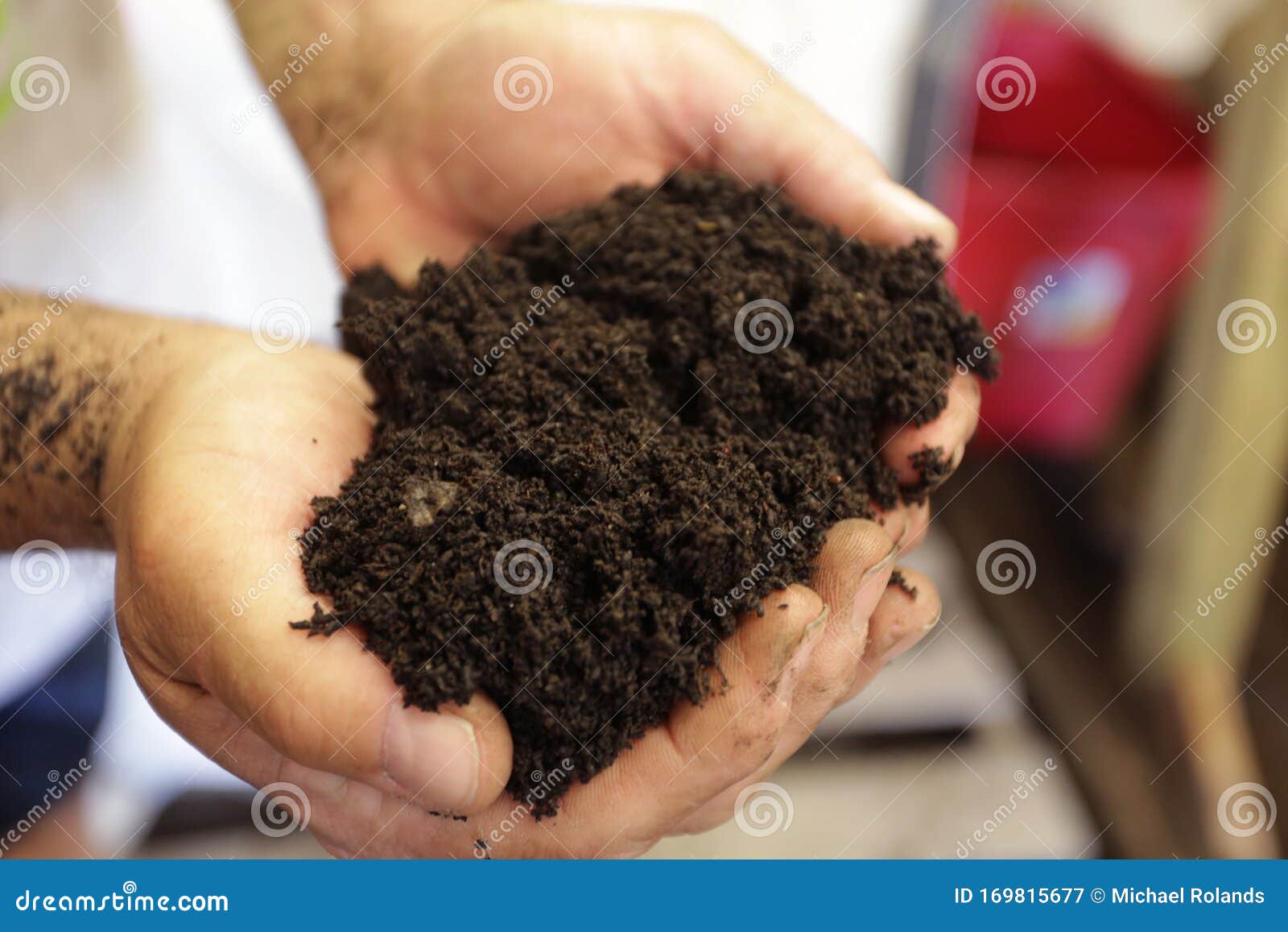 Man Holding Nutrient Rich Potting Soil Stock Image - Image of garden ...