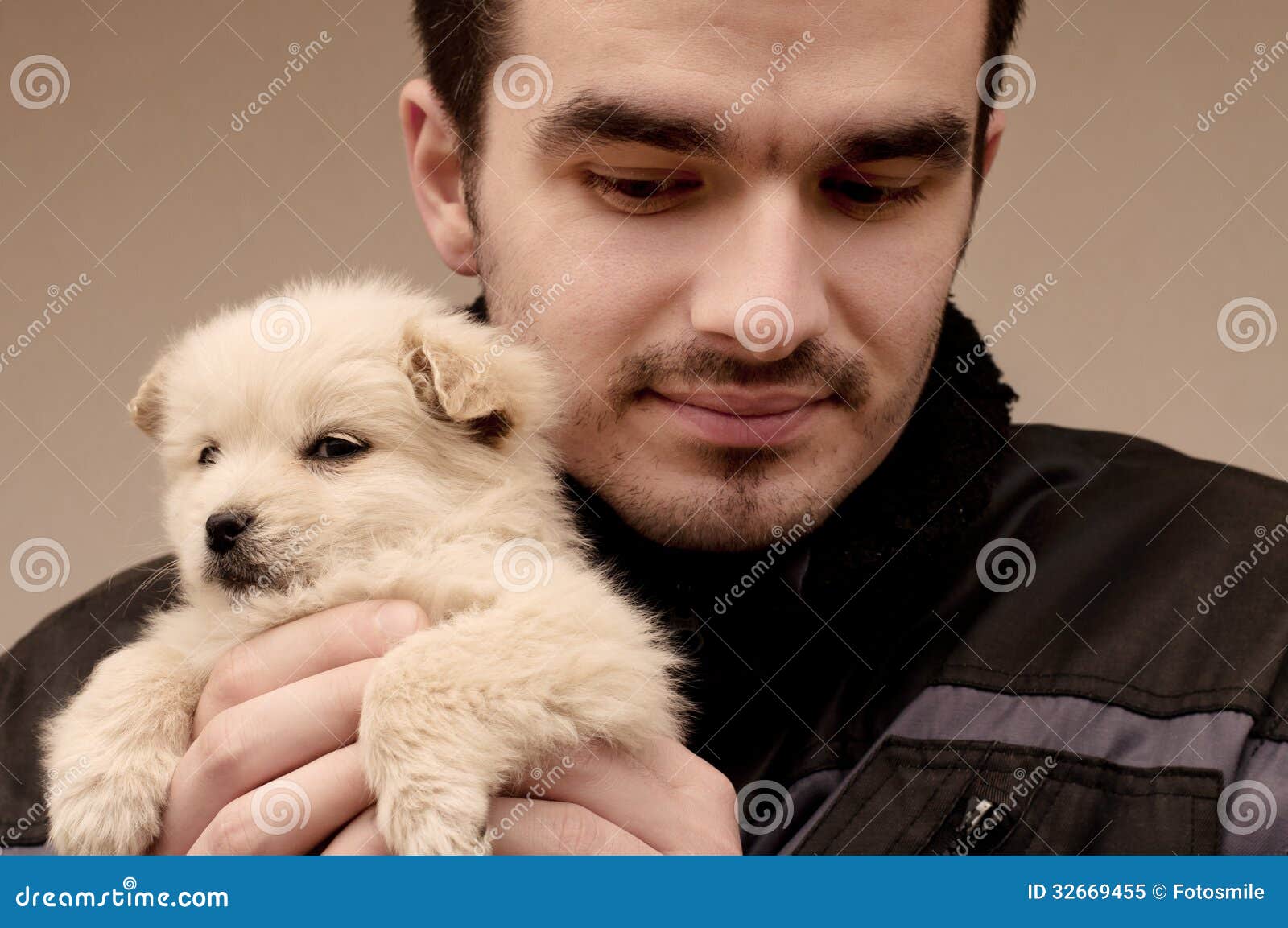 Man holding puppy stock image. Image of adorable, animals - 32669455