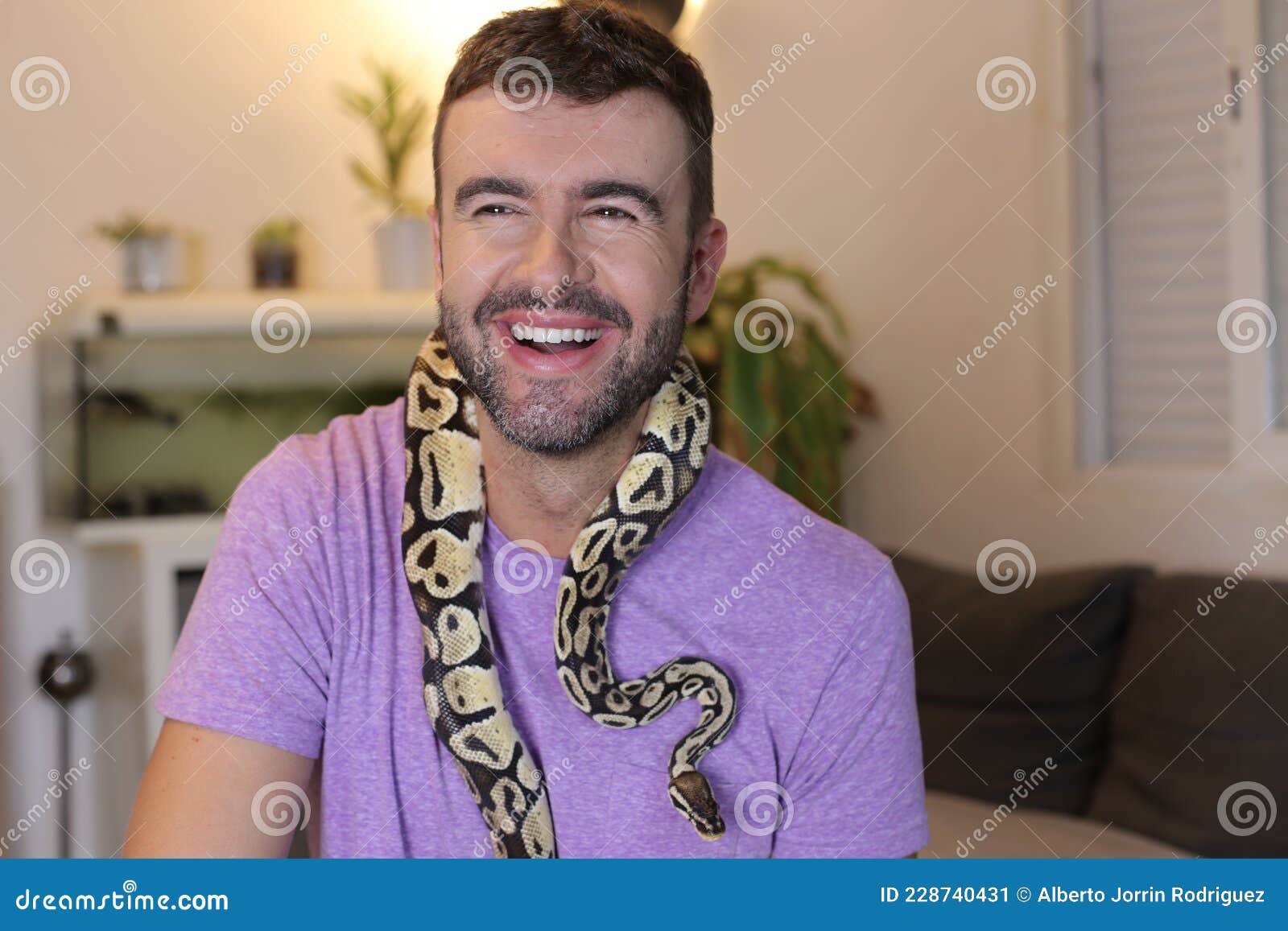 Man Holding `python Regius` or `ball Python` Stock Image - Image of ...