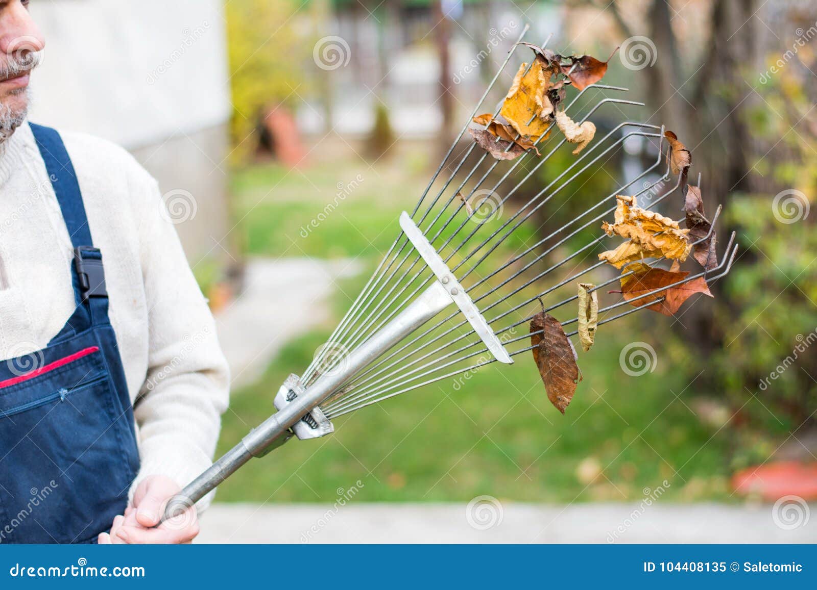 Man Holding Rake with Autumn Leaves in the Yard Stock Image - Image of ...