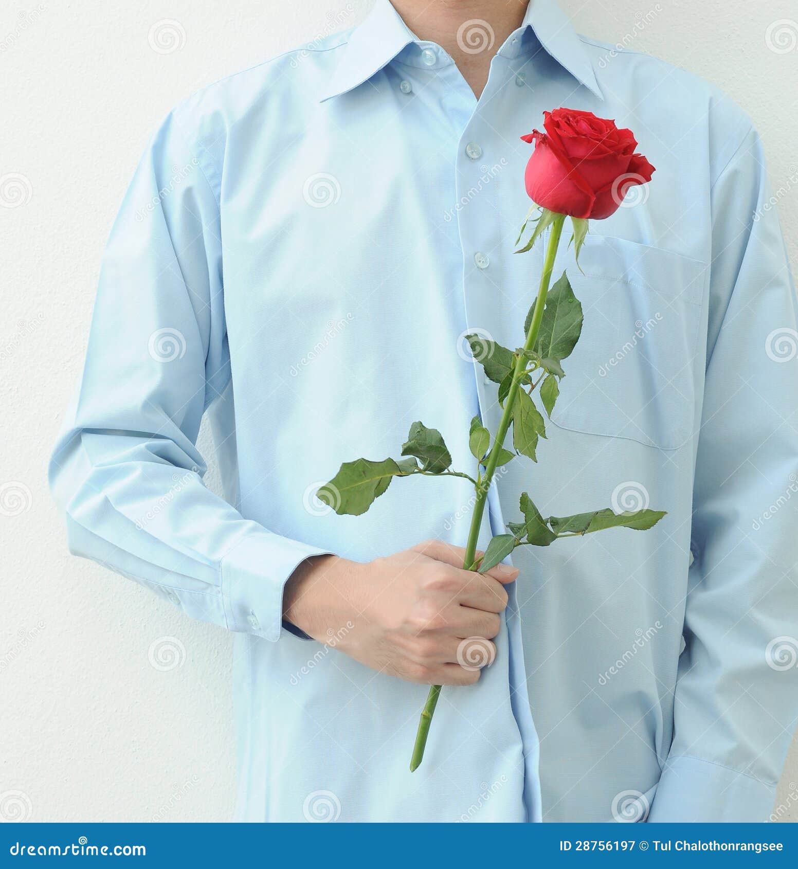 Man holding red rose stock image. Image of celebration - 28756197