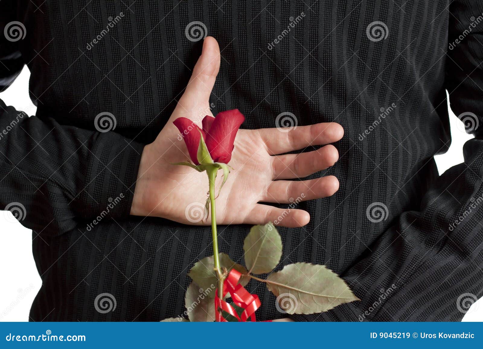 Man Holding Red Rose Behind His Back Stock Image - Image of affection ...