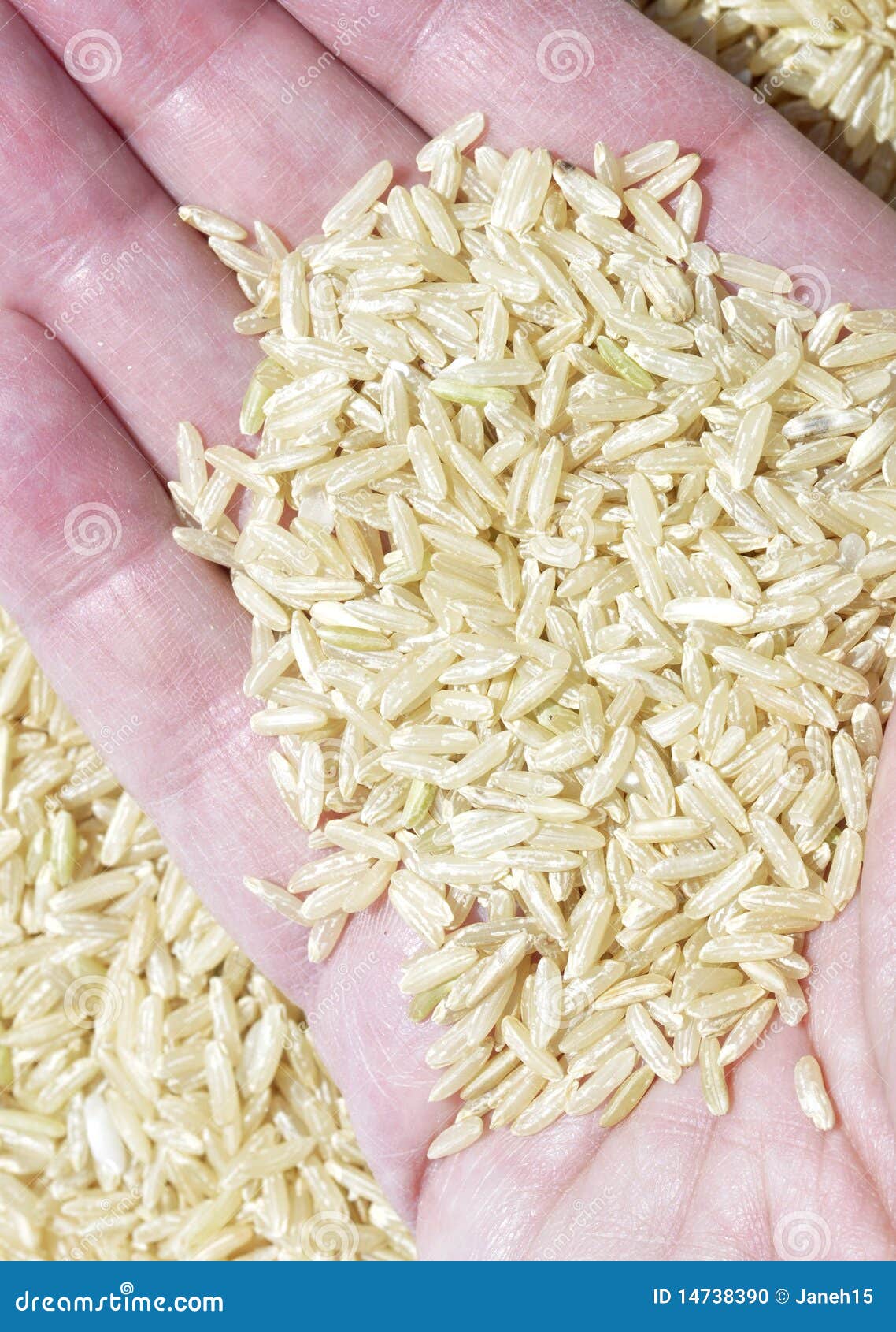 Man holding rice stock photo. Image of texture, rice - 14738390