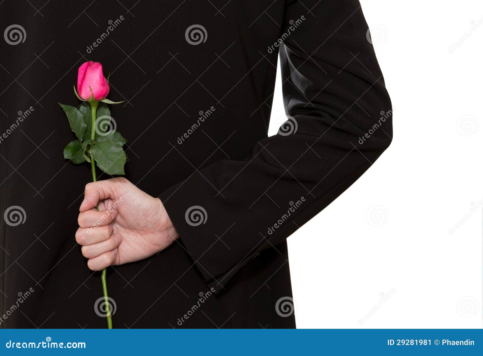 Man holding a rose stock image. Image of lover, flowers - 29281981