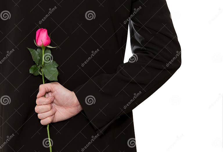 Man holding a rose stock image. Image of lover, flowers - 29281981