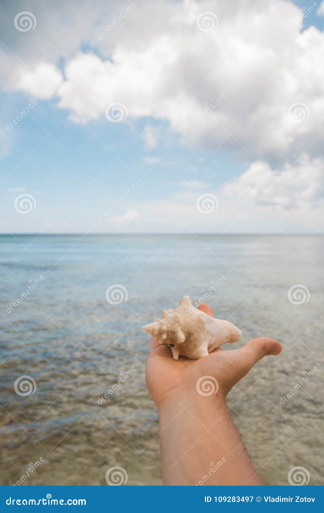 Man Holding a Shell in His Hand on the Ocean Shore. Stock Image - Image ...
