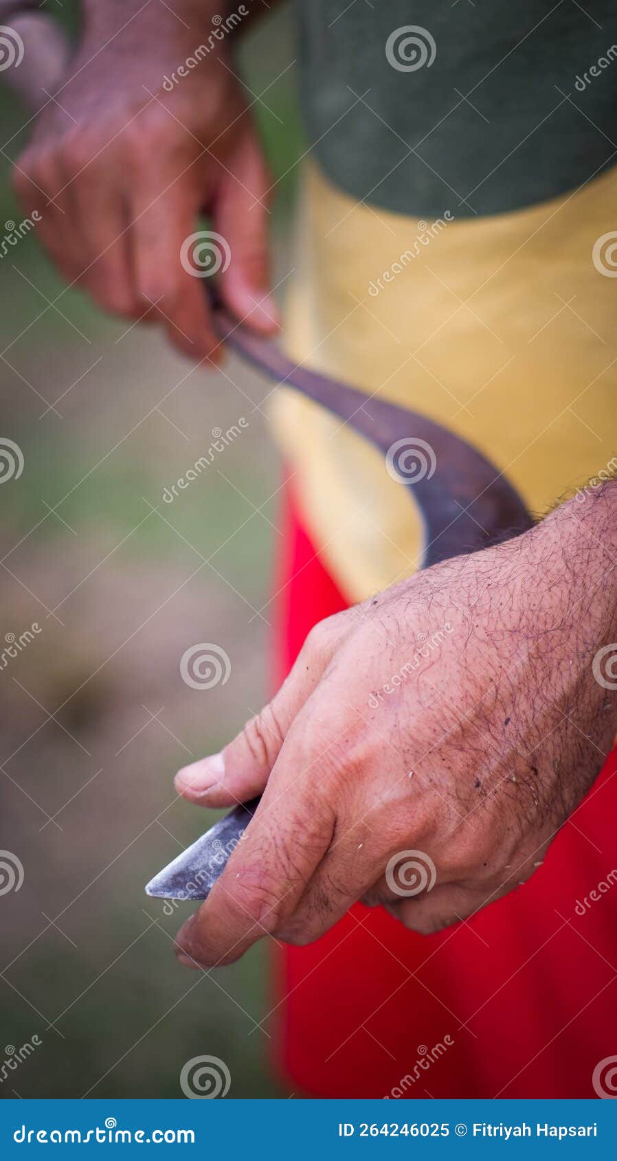 Holding sickle stock image. Image of autumn, horizontal - 264246025