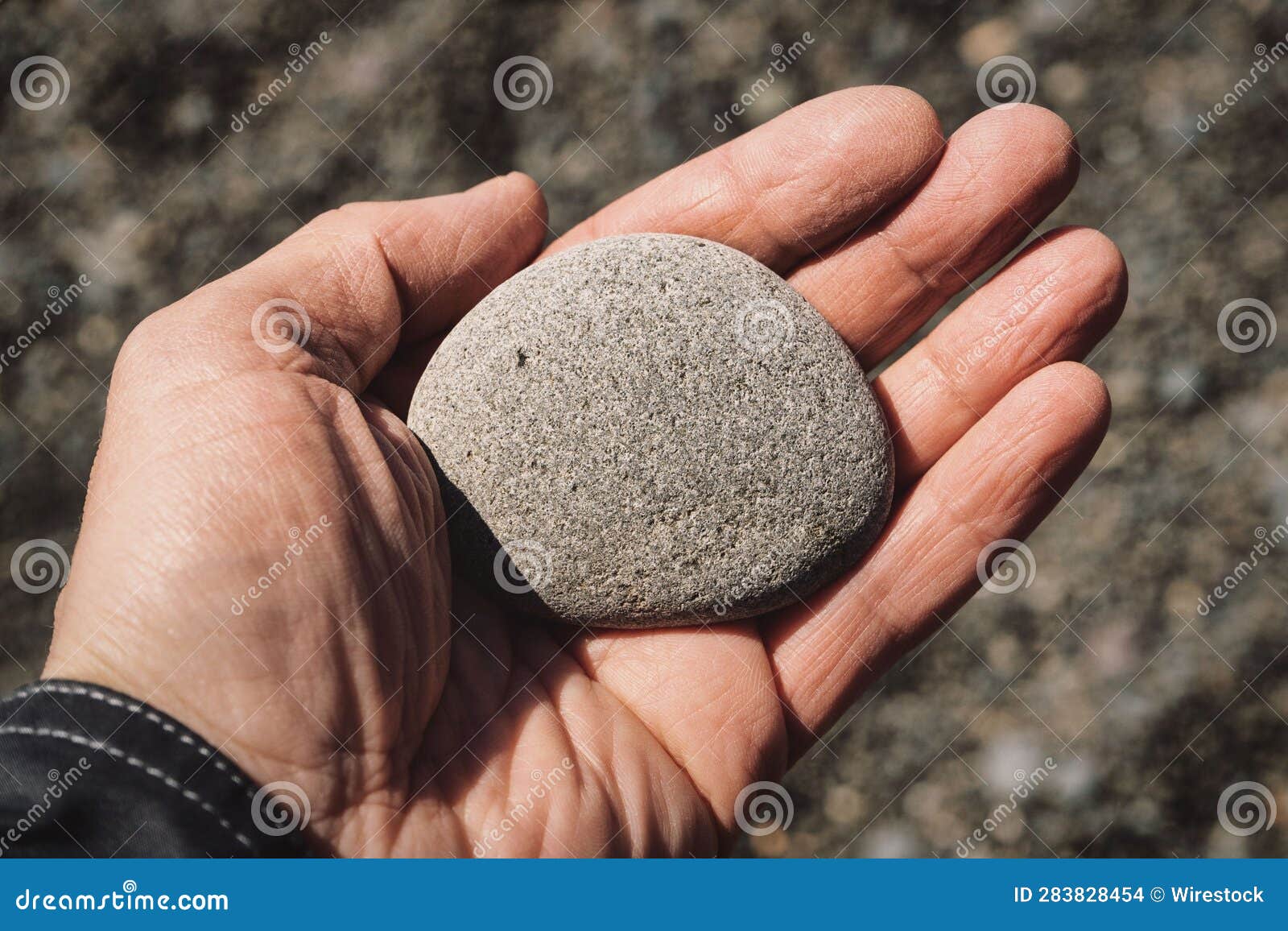 Man Holding a Smooth Pebble in His Hand in Sunlight Stock Photo - Image ...