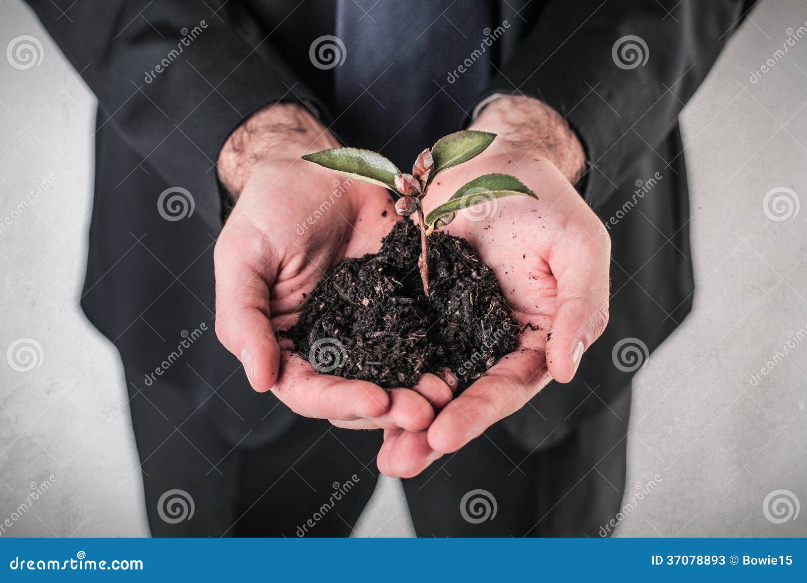 Man holding a sproud stock image. Image of tree, grow - 37078893