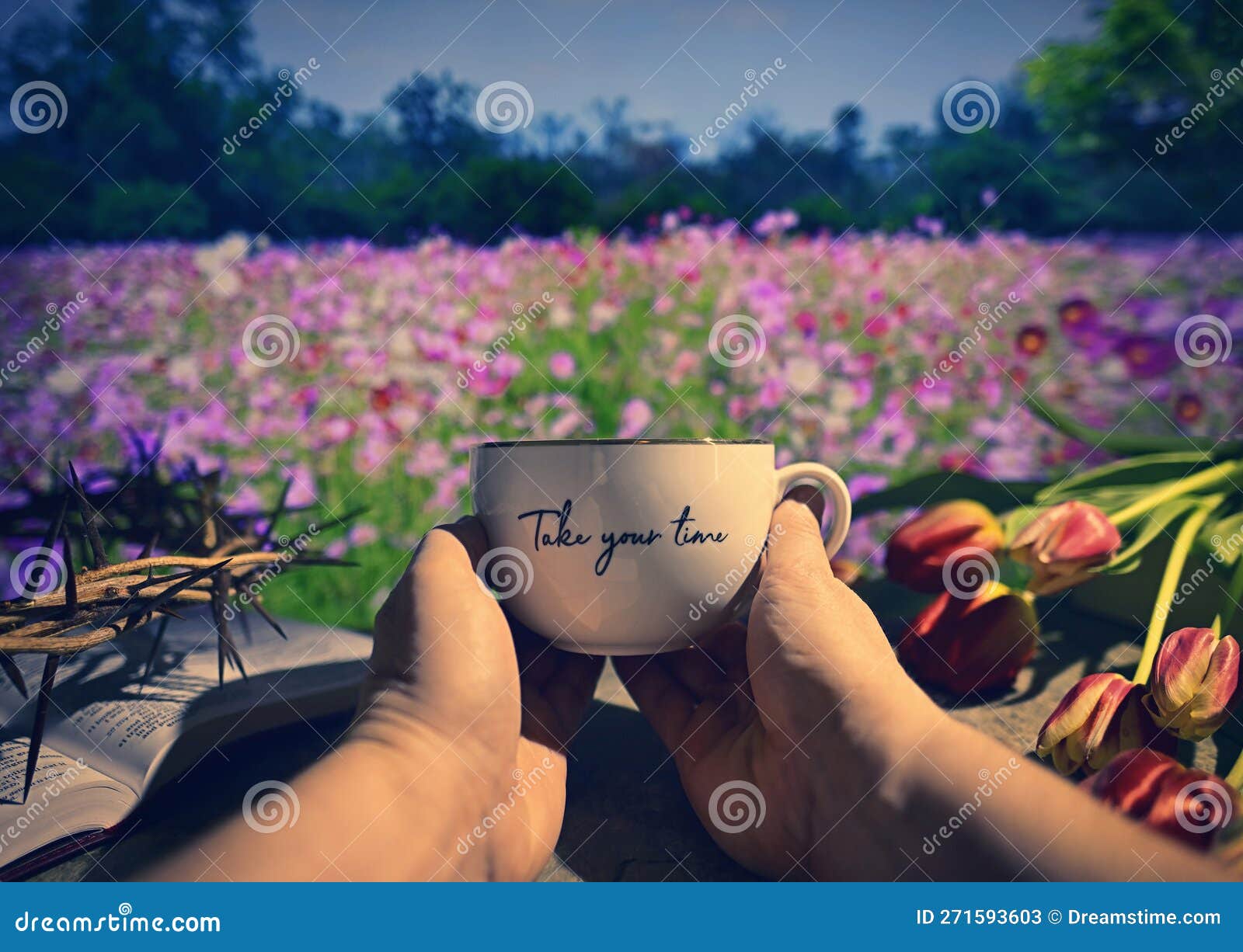 Man Holding Tea Cup. Spring Background Stock Image - Image of communion ...