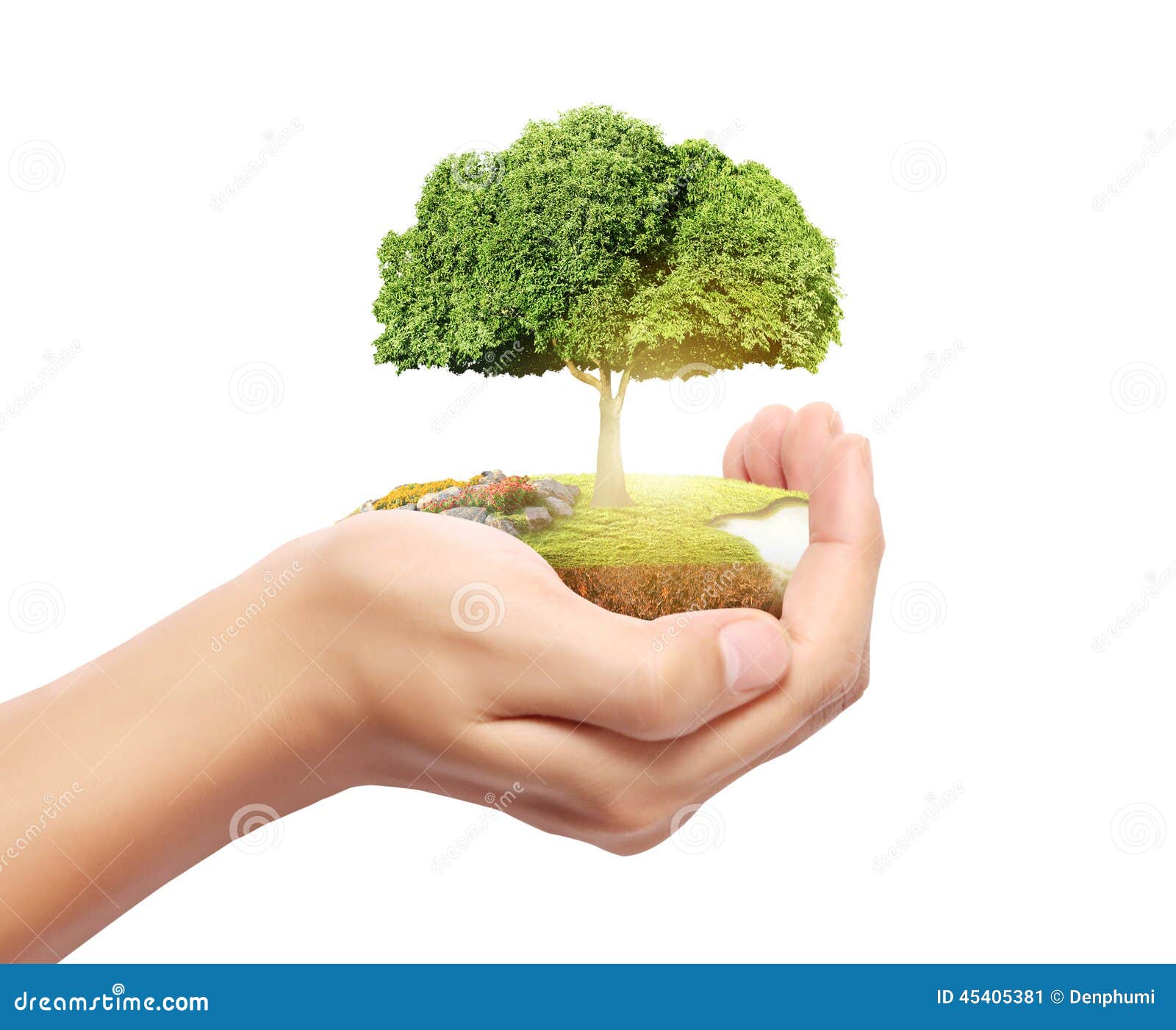 Man holding tree sprouting stock image. Image of holding - 45405381