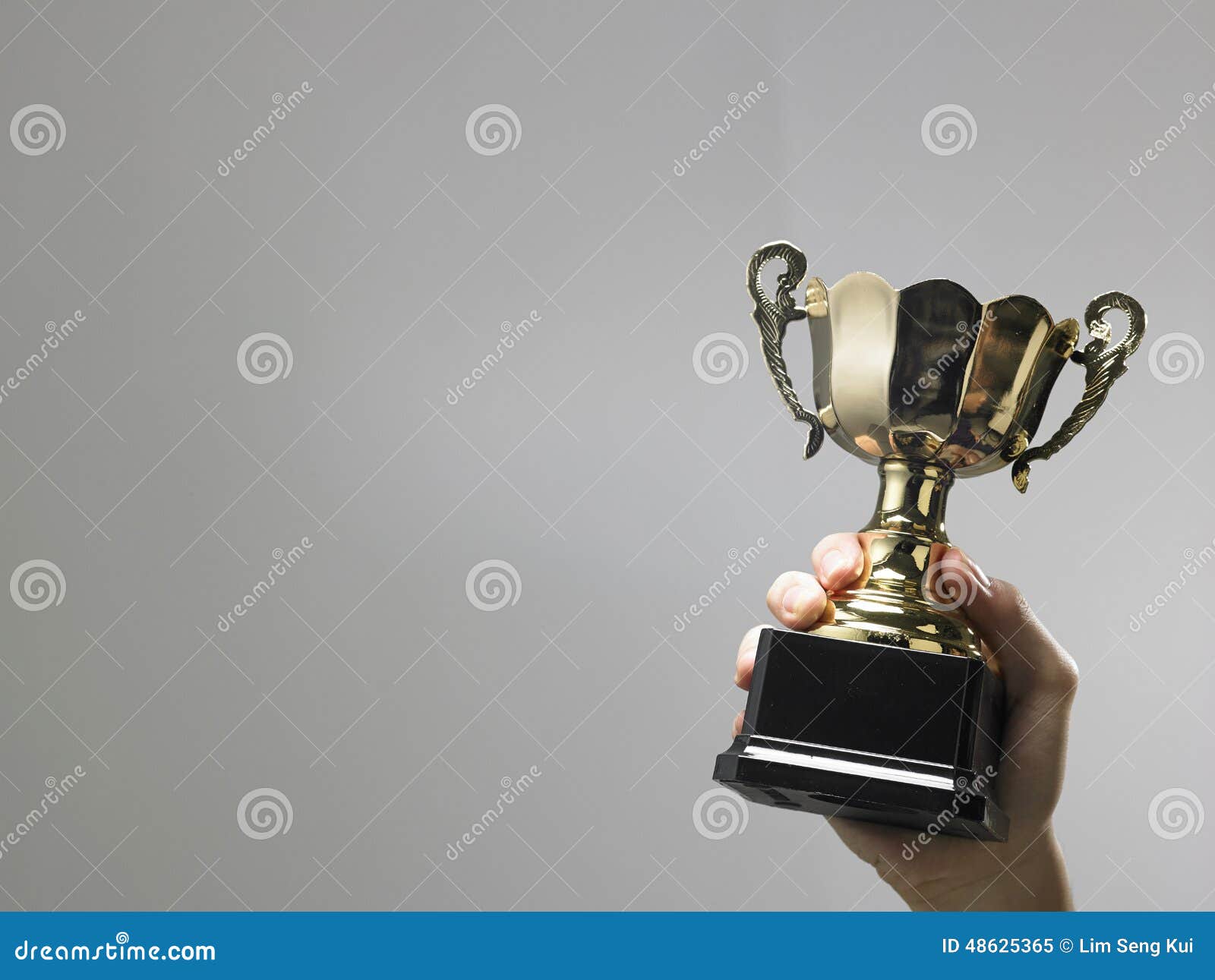 Man holding trophy stock image. Image of golden, honour - 48625365