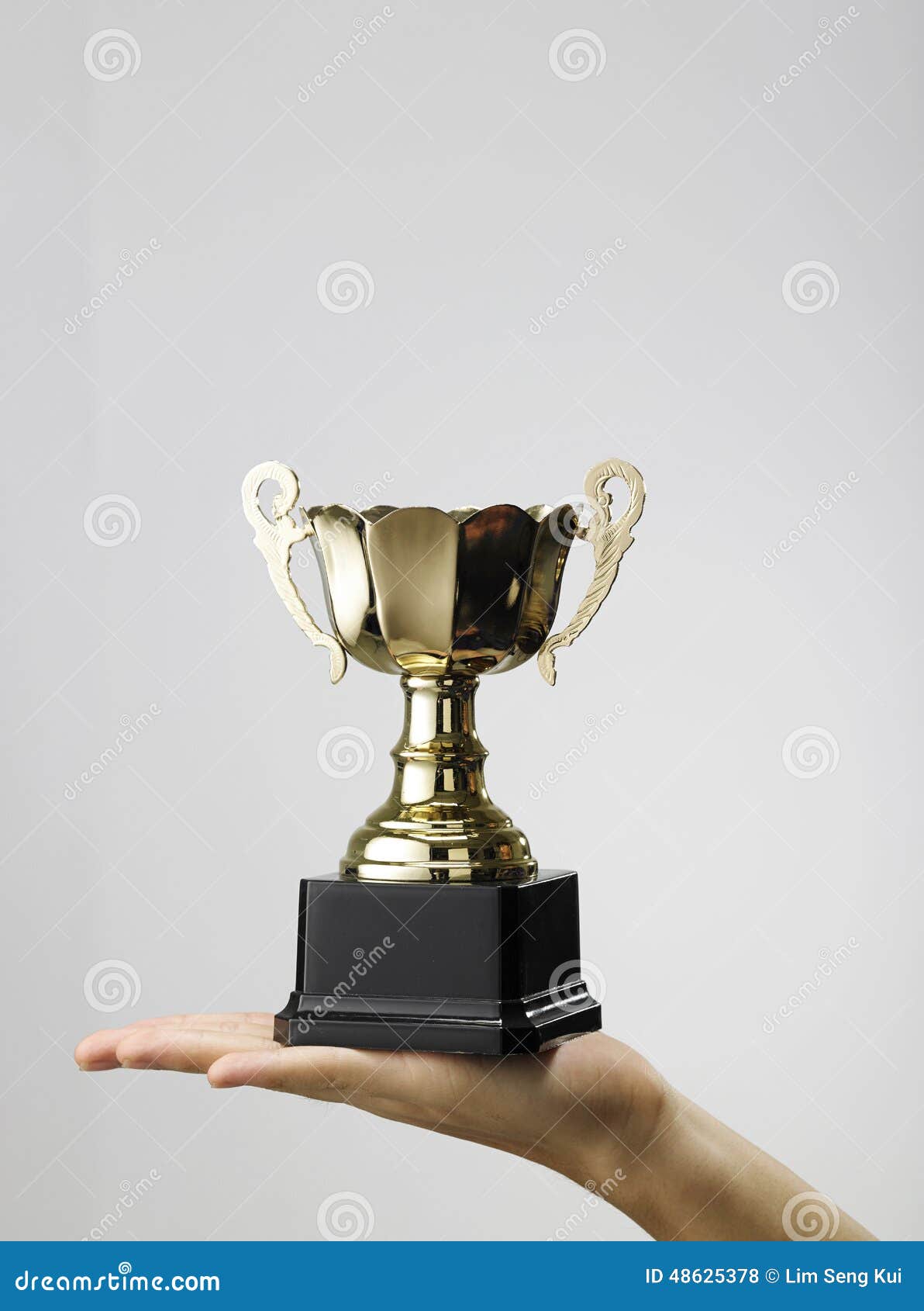 Man holding trophy stock photo. Image of hand, achievement - 48625378
