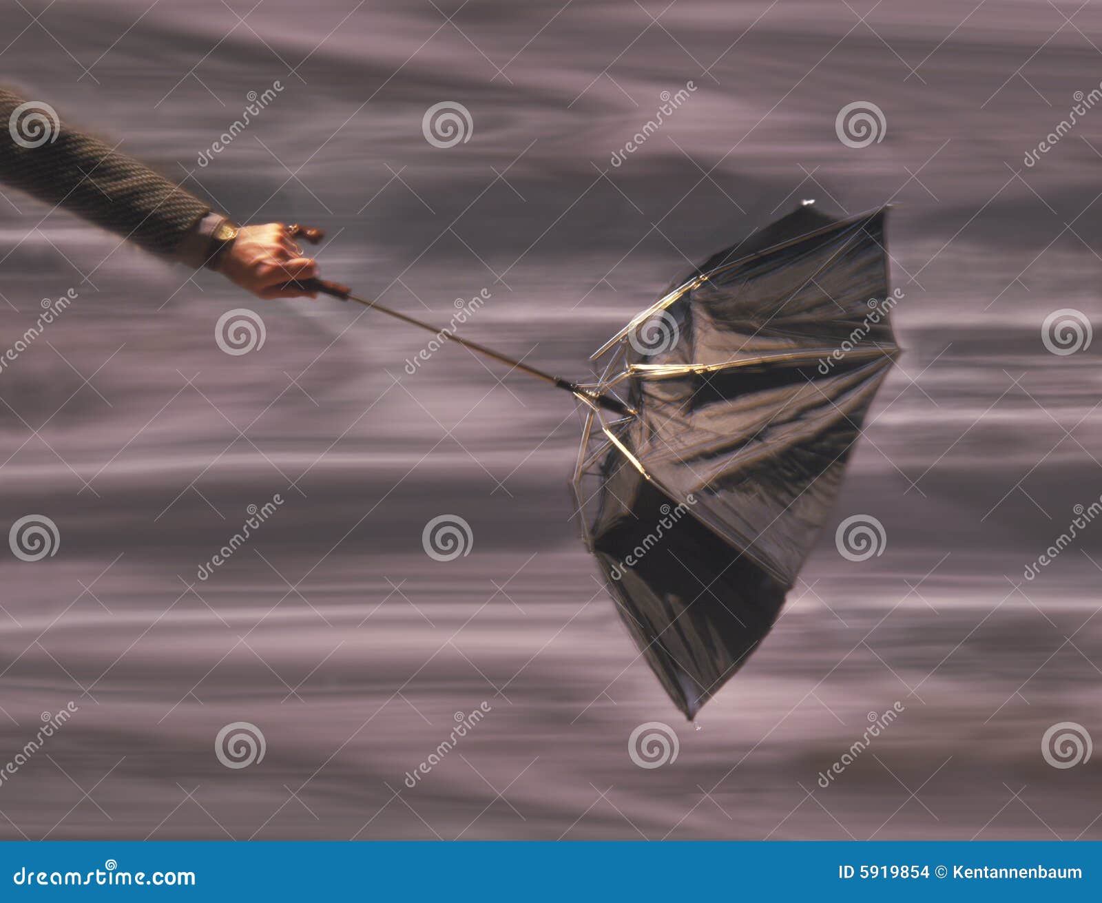 Man Holding Umbrella in Wind Stock Photo - Image of windy, holding: 5919854
