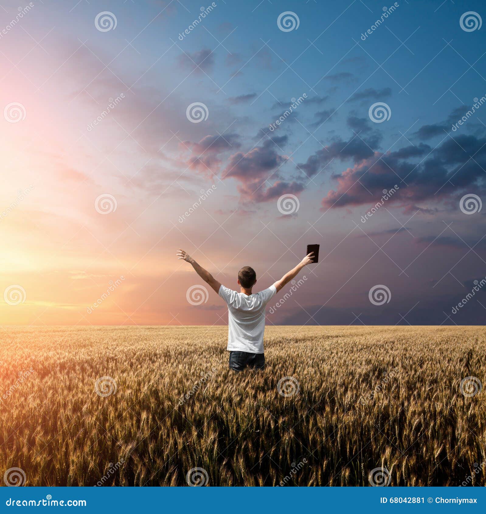 Man Holding Up Bible in a Wheat Field Stock Image - Image of chapters ...